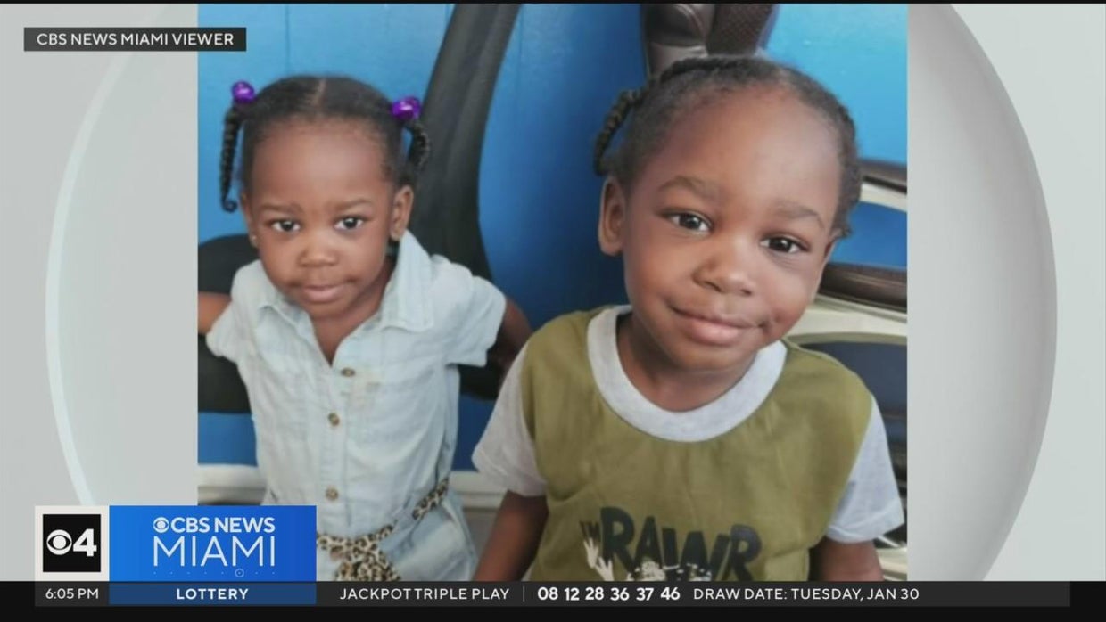 Woman whose toddlers died after being found unresponsive in van denied ...