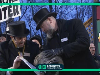 groundhog shadow 2024