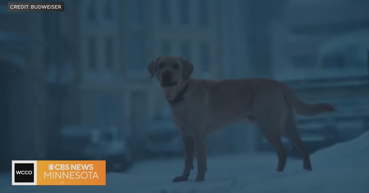 What to expect from this year’s Super Bowl ads - CBS Minnesota