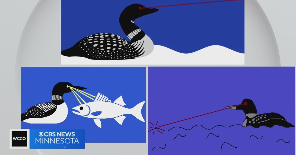 The limited edition "laser loon' library card is is a hit - CBS Minnesota