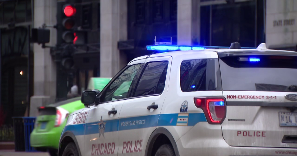 City Council again rejects changes to Chicago Police disciplinary rules ...