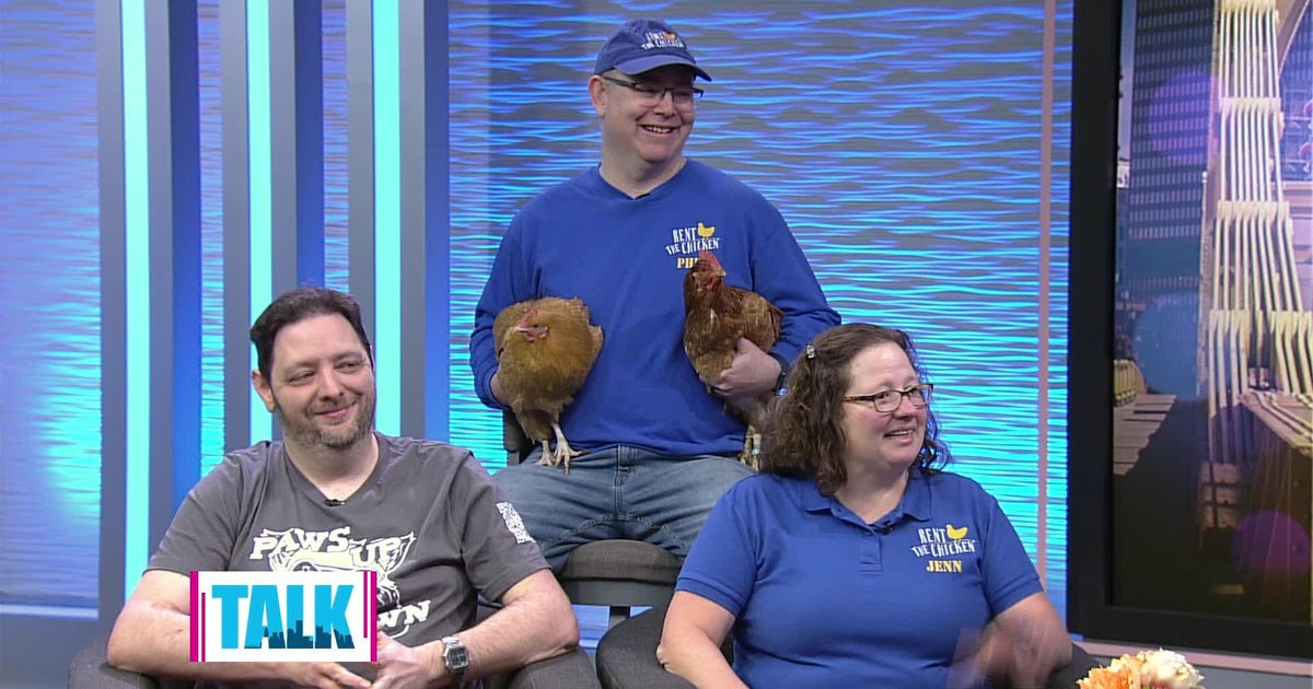 Learning more about an egg-citing video game with Mega Cat Studio - CBS ...