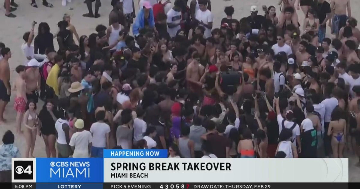 Spring Breakers arrive in South Florida - CBS Miami