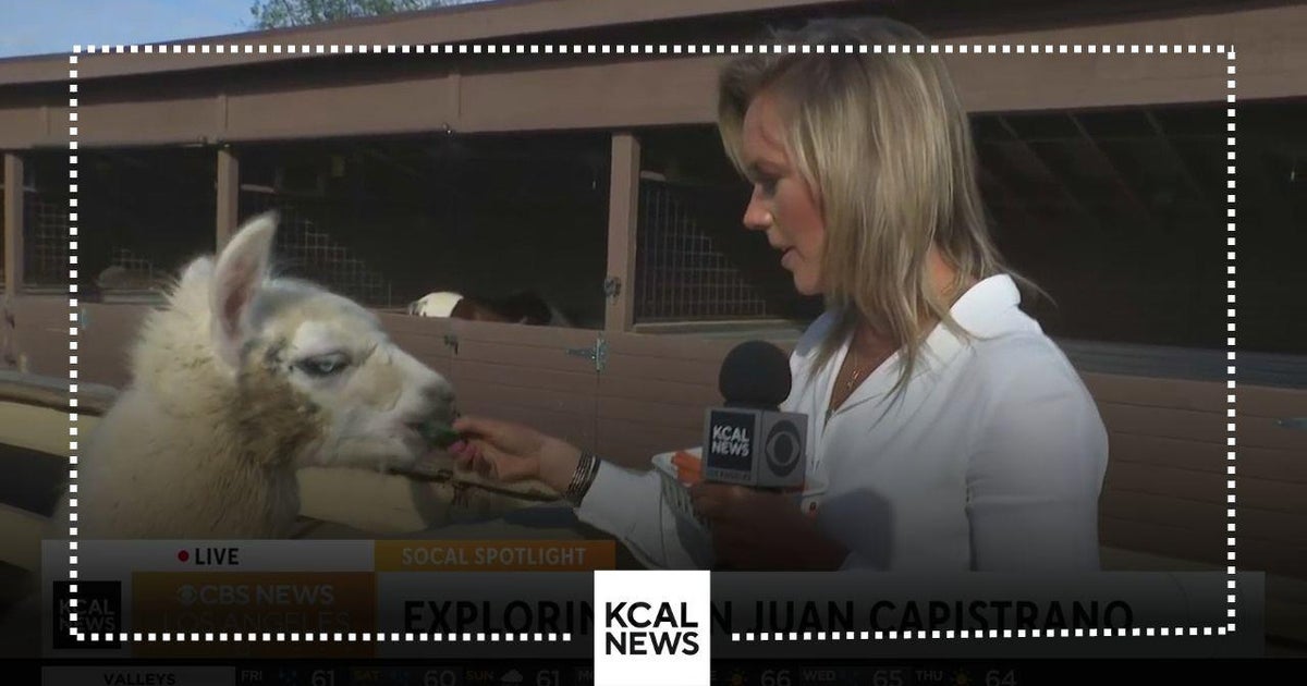 A visit with all the animals at Zoomars at River Street Ranch | SoCal ...