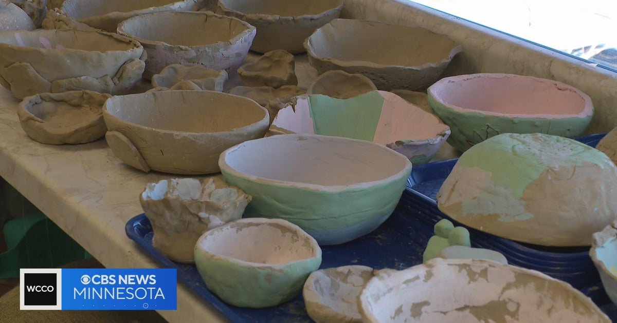 "A2D Academy” is Edina teacher’s dream come true - CBS Minnesota