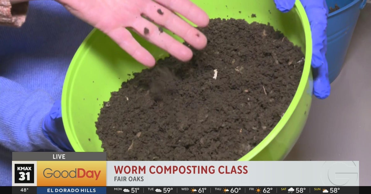 Worm Composting - Good Day Sacramento