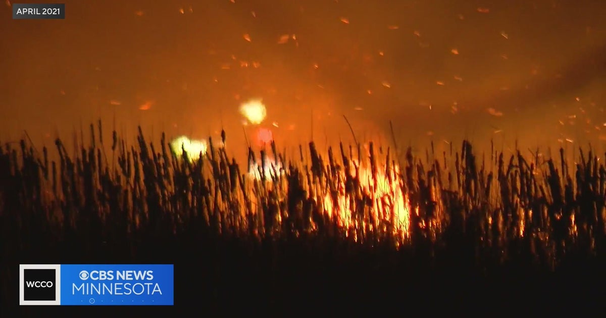 Minnesota, Wisconsin has increased wildfire risk this spring - CBS ...