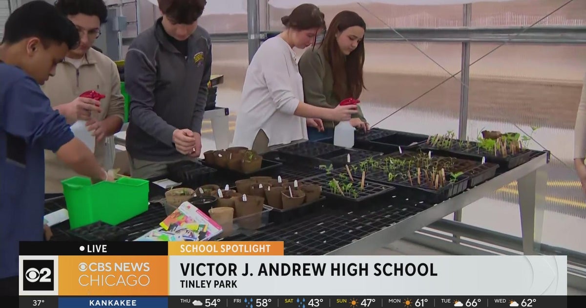 School Spotlight: Green house at Victor J. Andrew High School - CBS Chicago