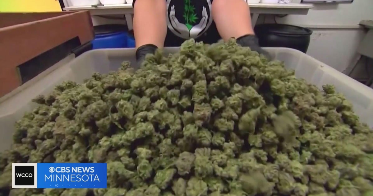 Minnesota lawmakers tweak recreational cannabis law - CBS Minnesota