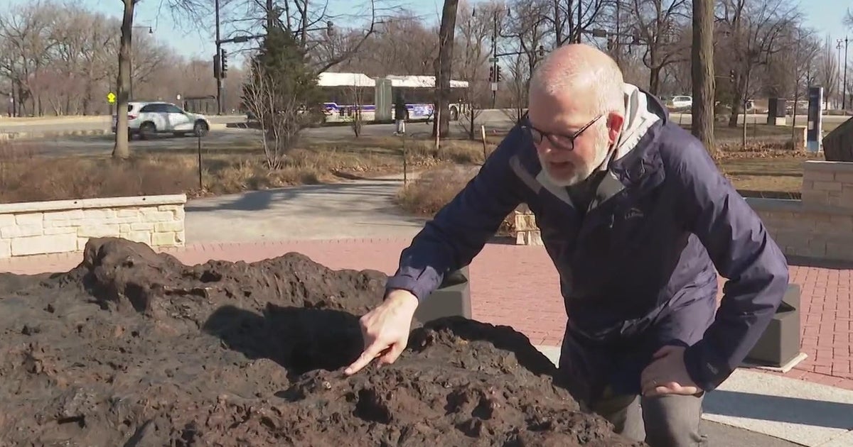 Chicago History Museum keeps the past alive with Great Chicago Fire ...