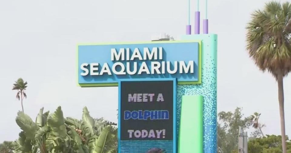 Miami Seaquarium operator plans to respond to notice of lease ...