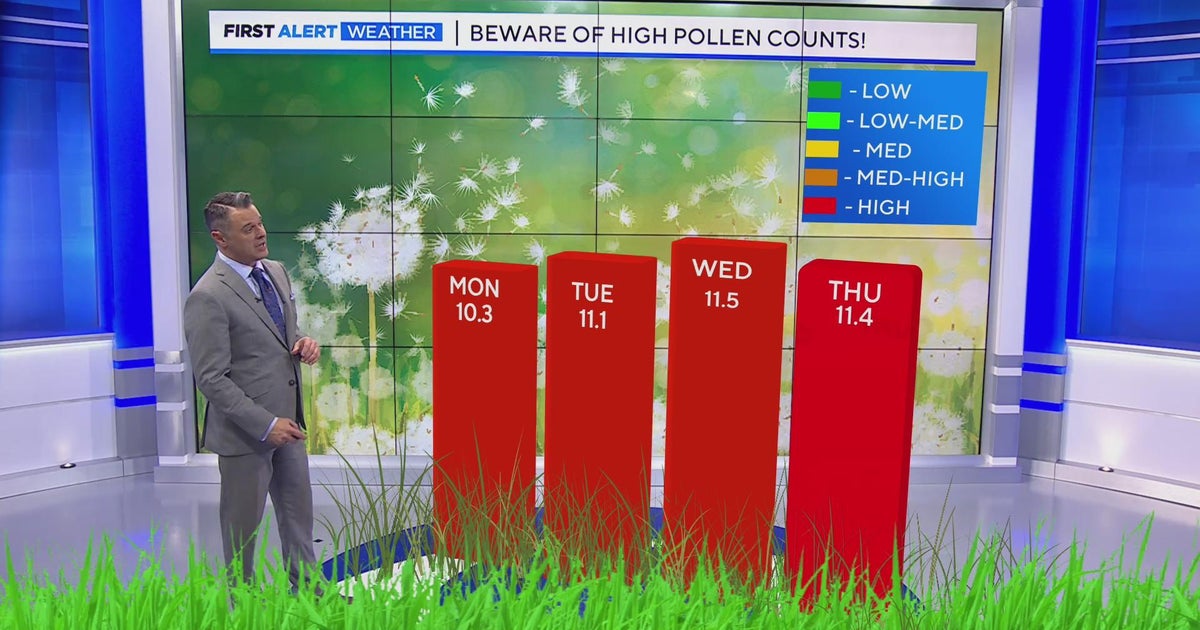 Pleasant temps with high pollen counts in store ahead of rain - CBS Texas
