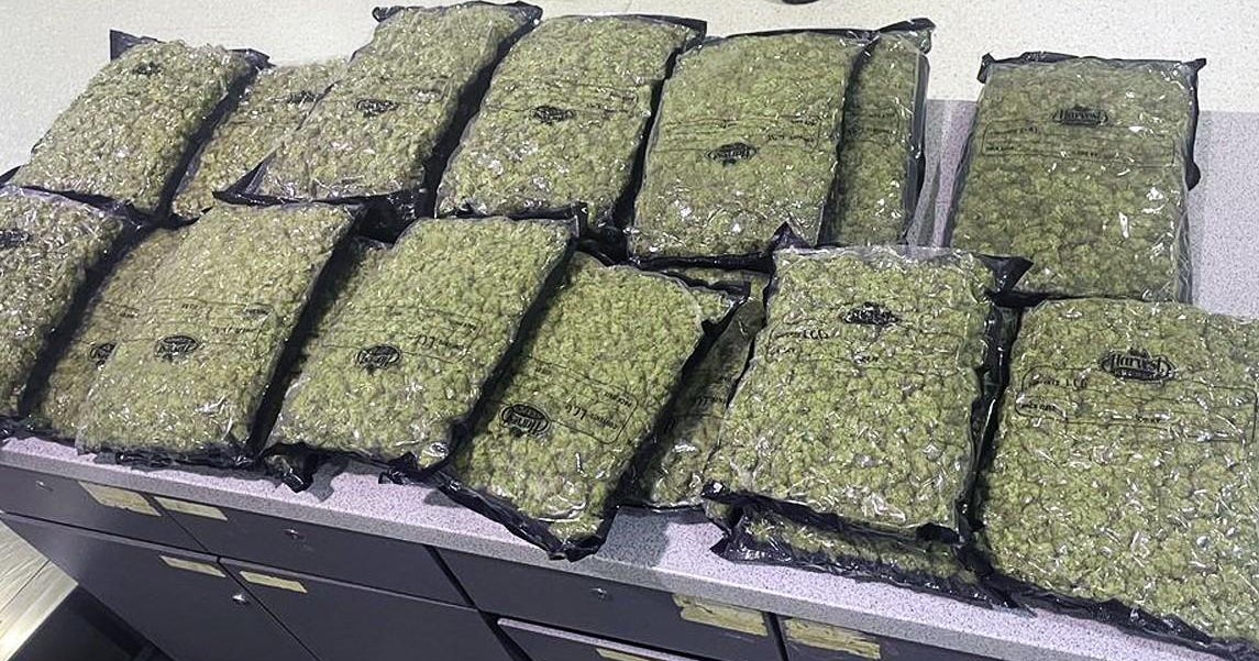 Woman caught trying to smuggle 31 pounds of marijuana at BWI, customs ...