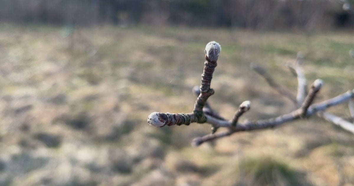 Coming weeks will be big for Michigan farmers hoping to have successful ...