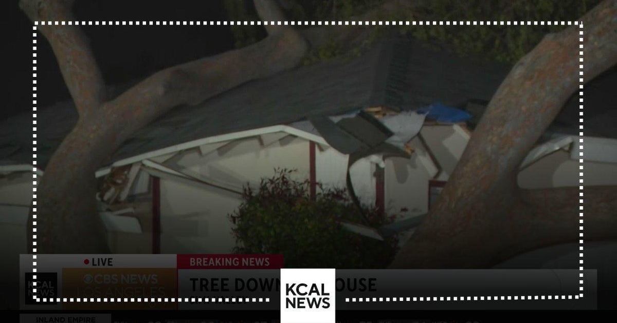 Large tree damages house in Simi Valley - CBS Los Angeles