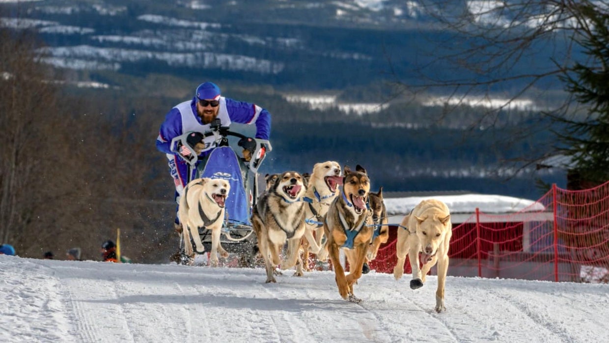 Meet the underdogs who overcame significant obstacles to become one of ...
