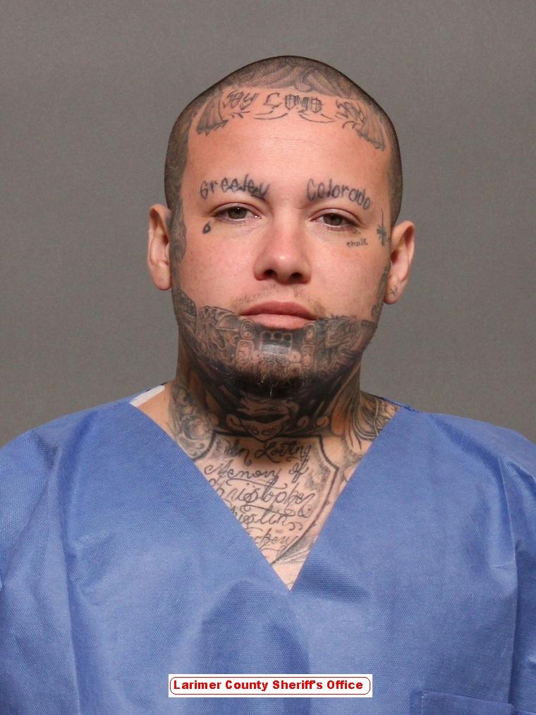 Felon charged with kidnapping woman, children wanted to "die like his ...