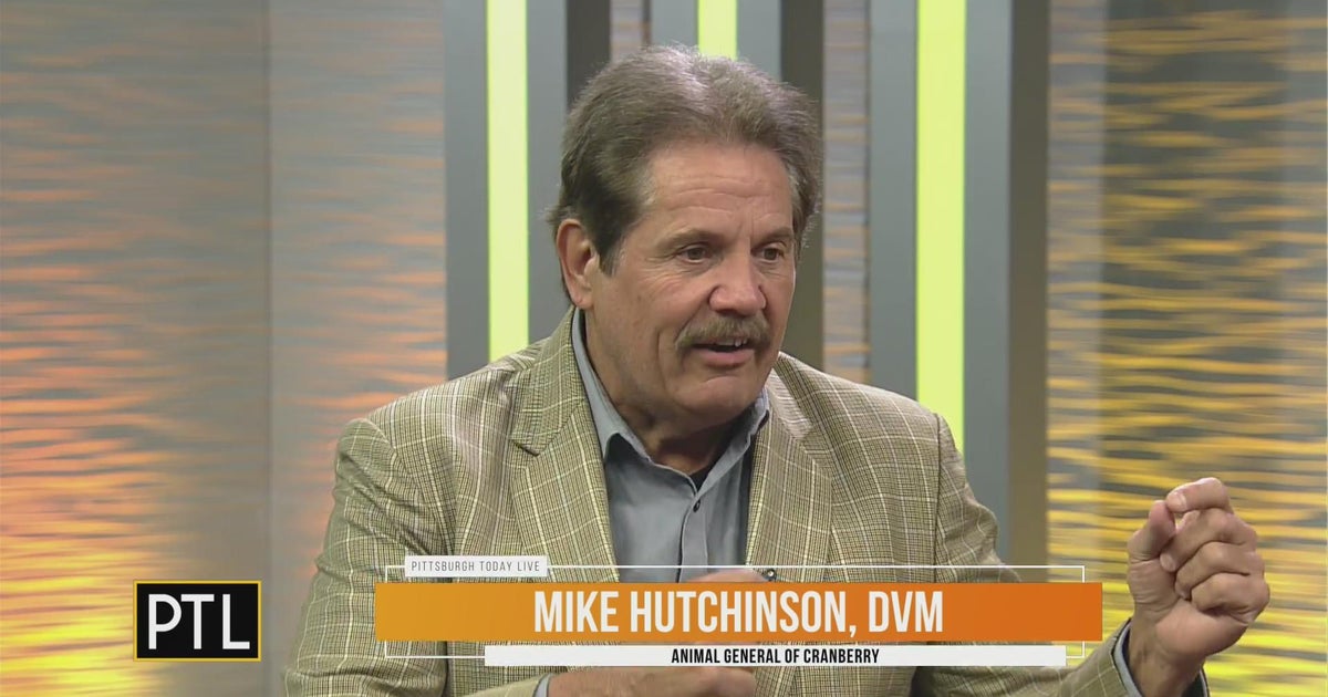 Ask Dr. Mike: Spring Pet Safety - CBS Pittsburgh