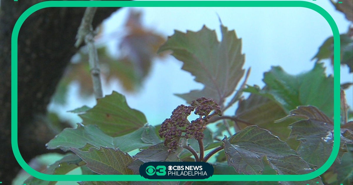 Where does Philadelphia rank among most challenging places to live with ...