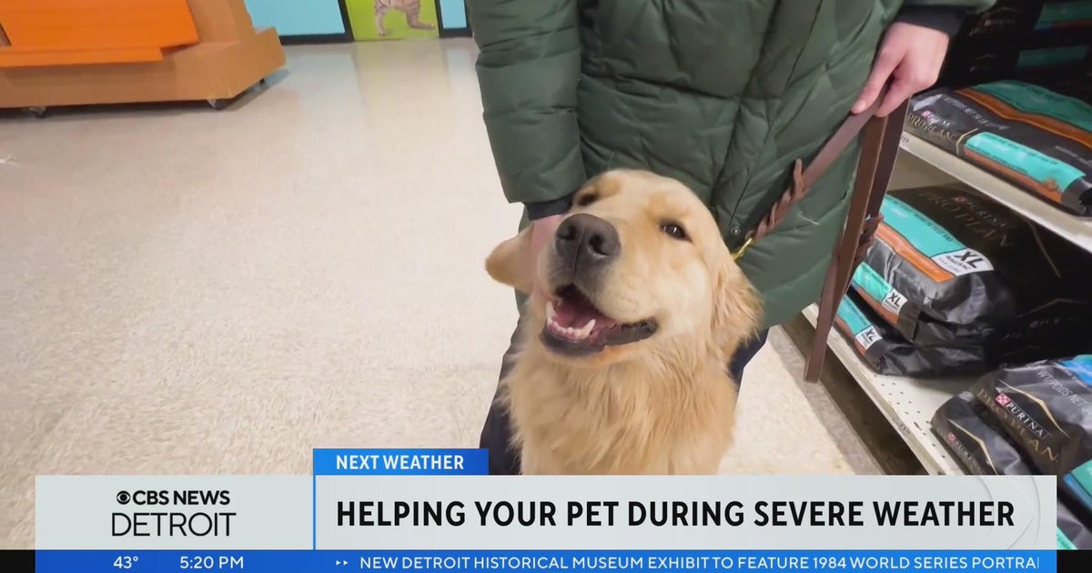 Severe Weather Awareness Week: Preparing for severe weather and your ...