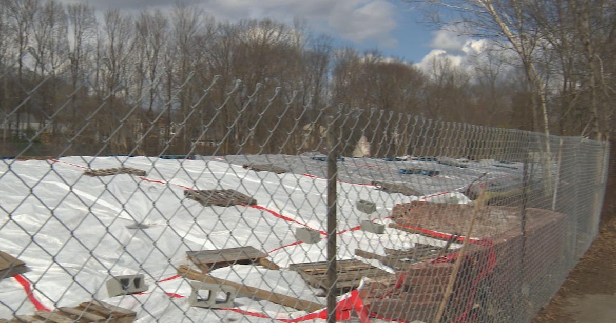 Rat problem in North Attleboro leaves town and residents disagreeing on ...