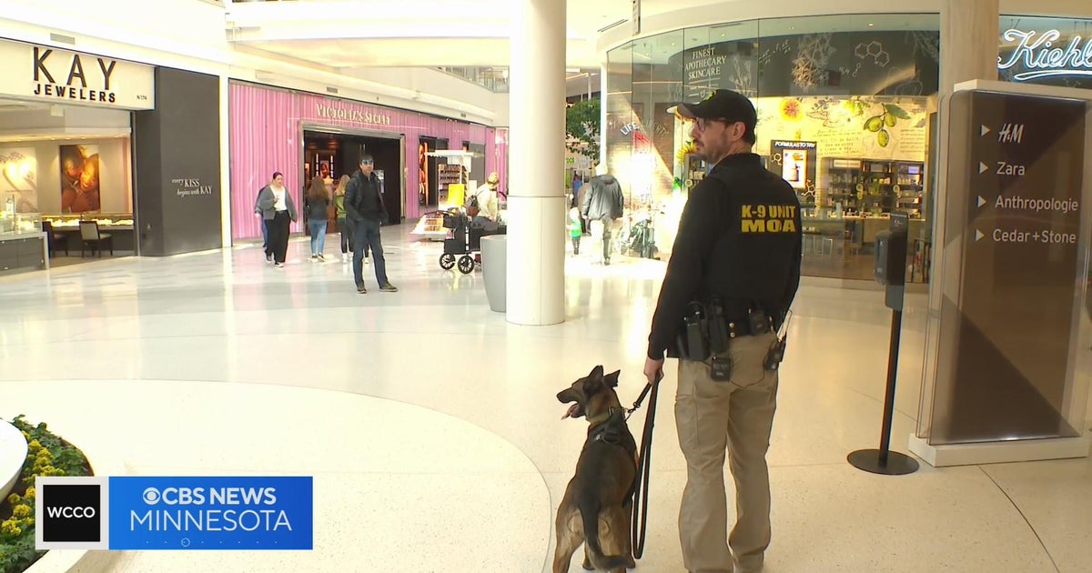 Mall of America employs new gun-sniffing K-9 unit - CBS Minnesota