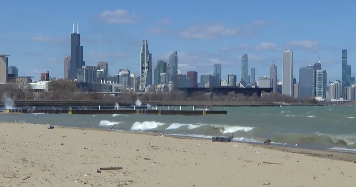 3 Chicago precincts vote in favor of idea of turning lakefront into ...