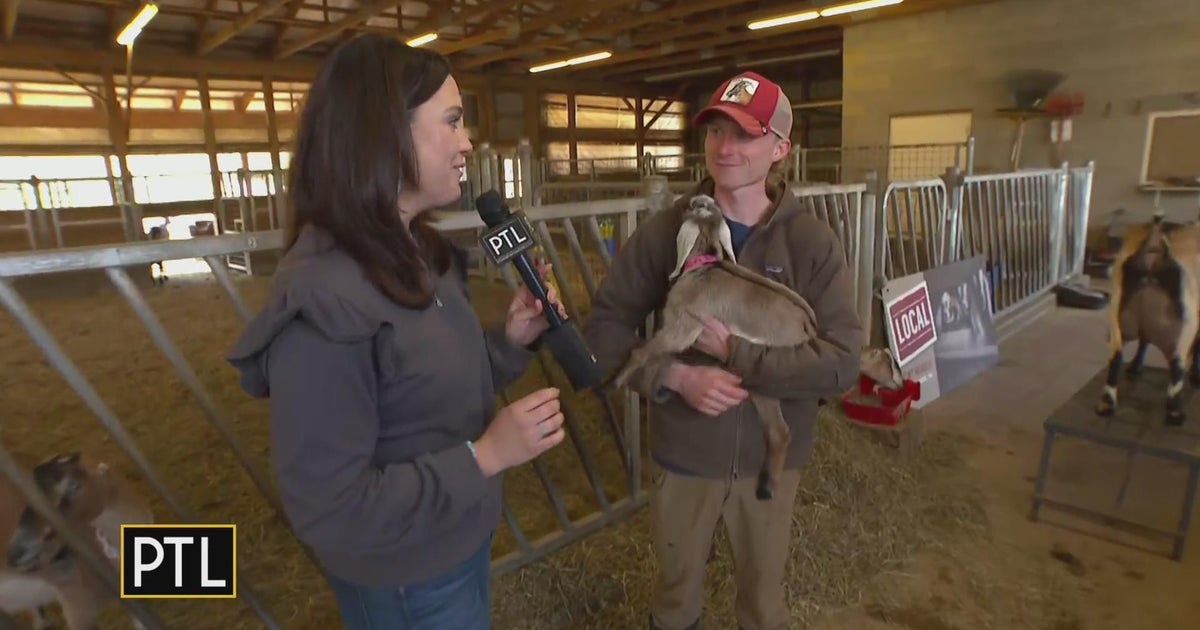 Katie O'Malley visits Goat Rodeo Farm and Dairy on PTL - CBS Pittsburgh