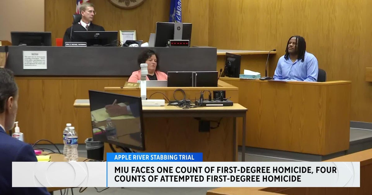 Jawahn Cockfield, who filmed deadly Apple River encounter, testifies in ...