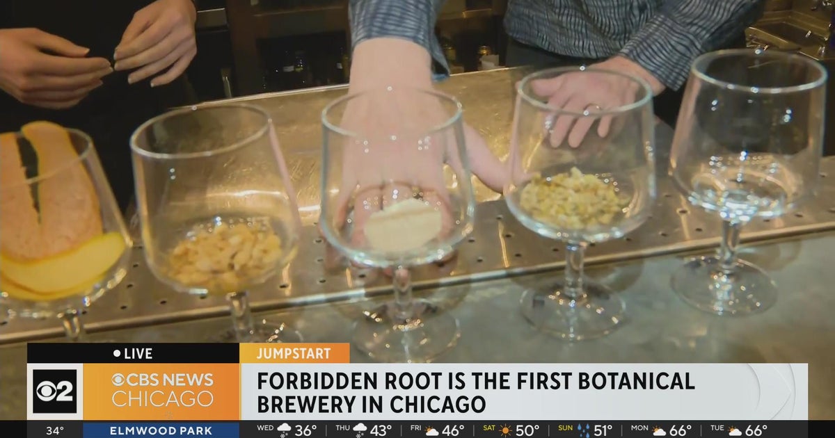 A look inside Chicago's first botanical brewery - CBS Chicago