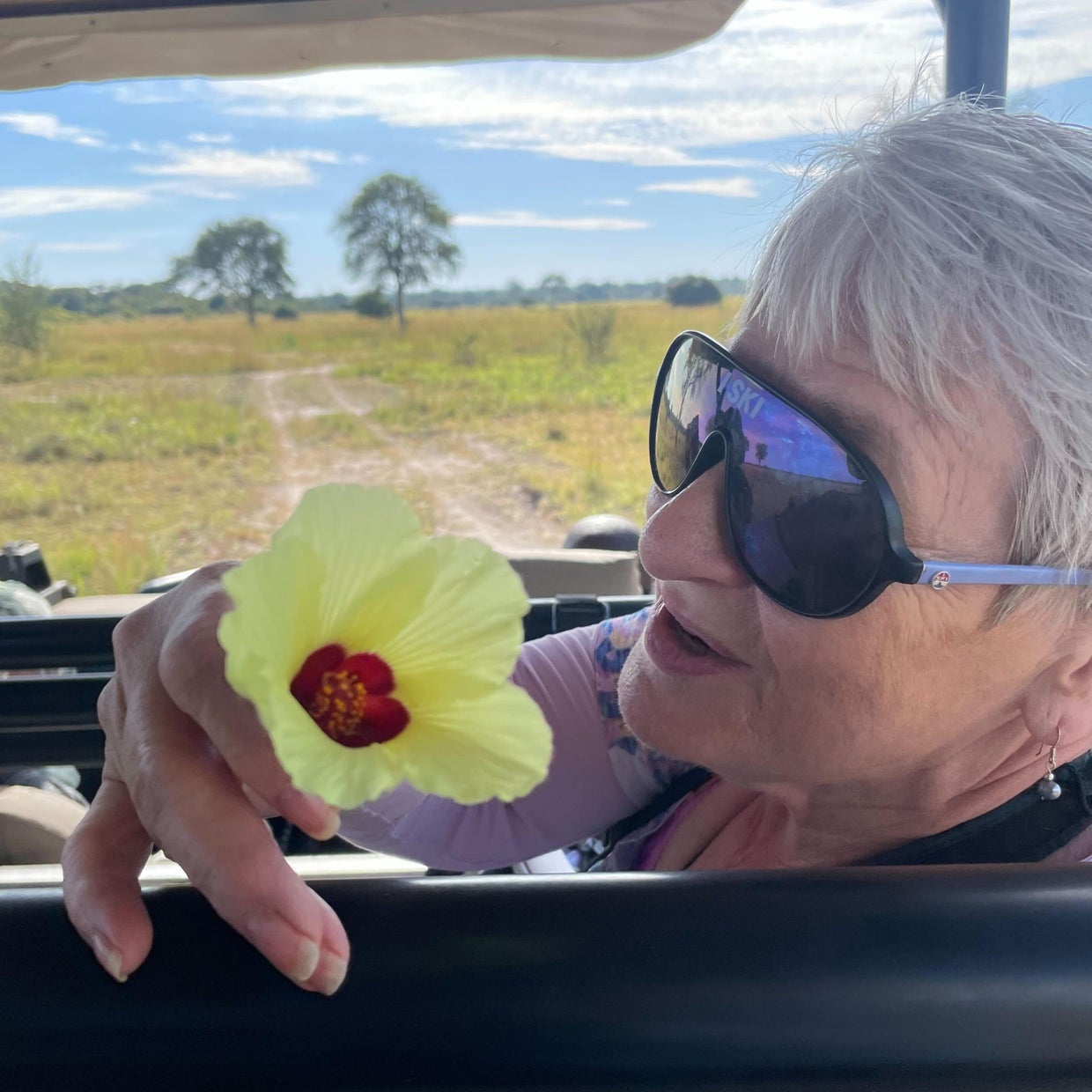 Elephant attack leaves American woman dead in Zambia's Kafue National ...