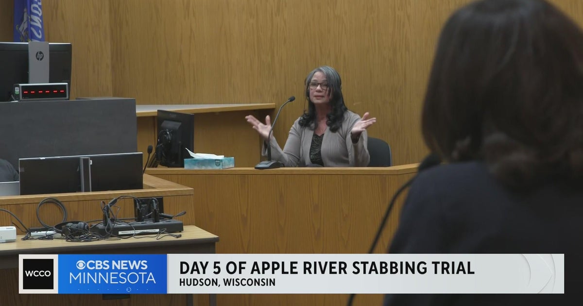 Prosecution calls more witnesses to stand in day 5 of Nicolae Miu’s ...