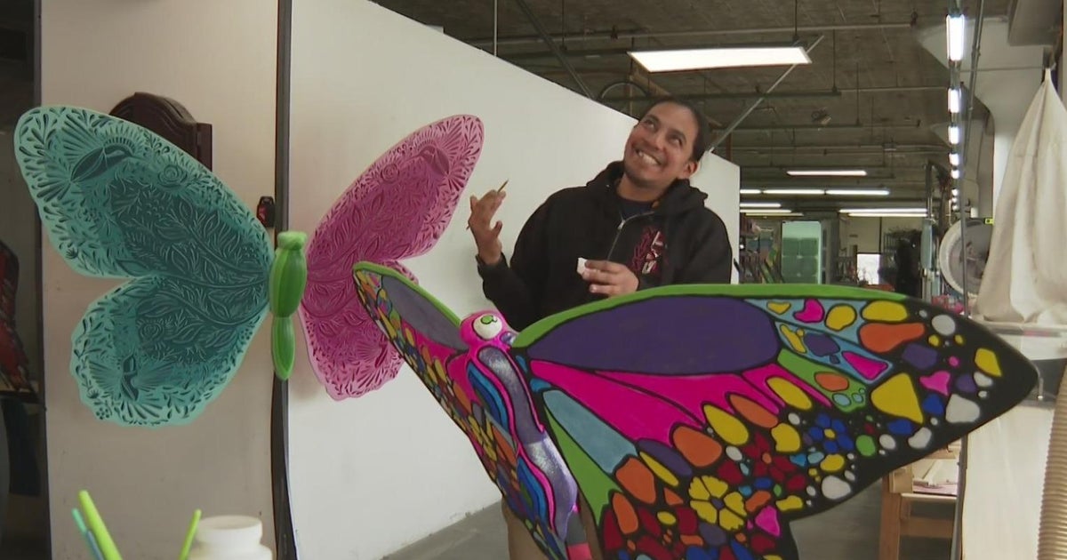 Chicago art takes flight in the form of butterflies at suburban museum ...