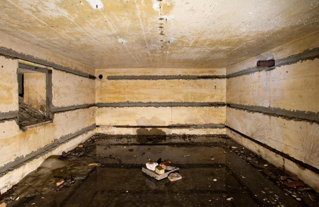 World War II bunkers built by German army unearthed during nature ...