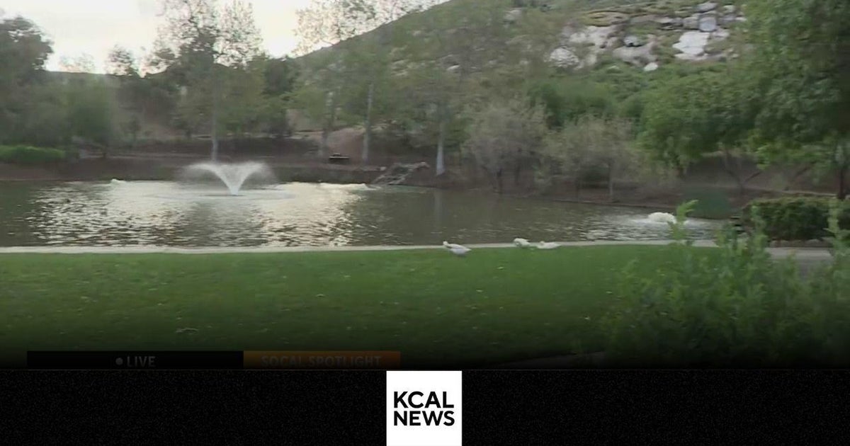 Exploring Fontana: SoCal Spotlight - CBS Los Angeles