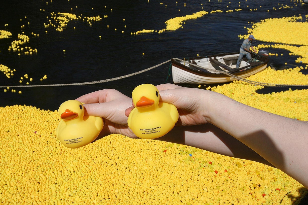 Rubber duck lost at sea for 18 years found 423 miles away from its ...
