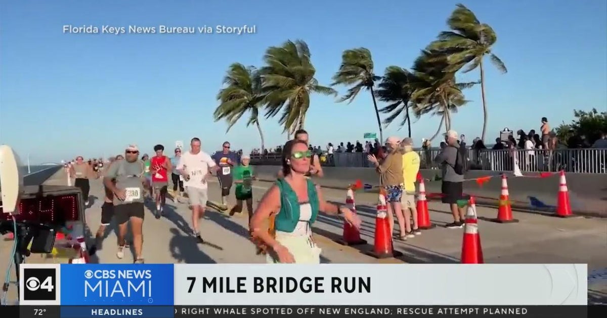 Florida Keys Seven Mile Bridge Run draws thousands - CBS Miami