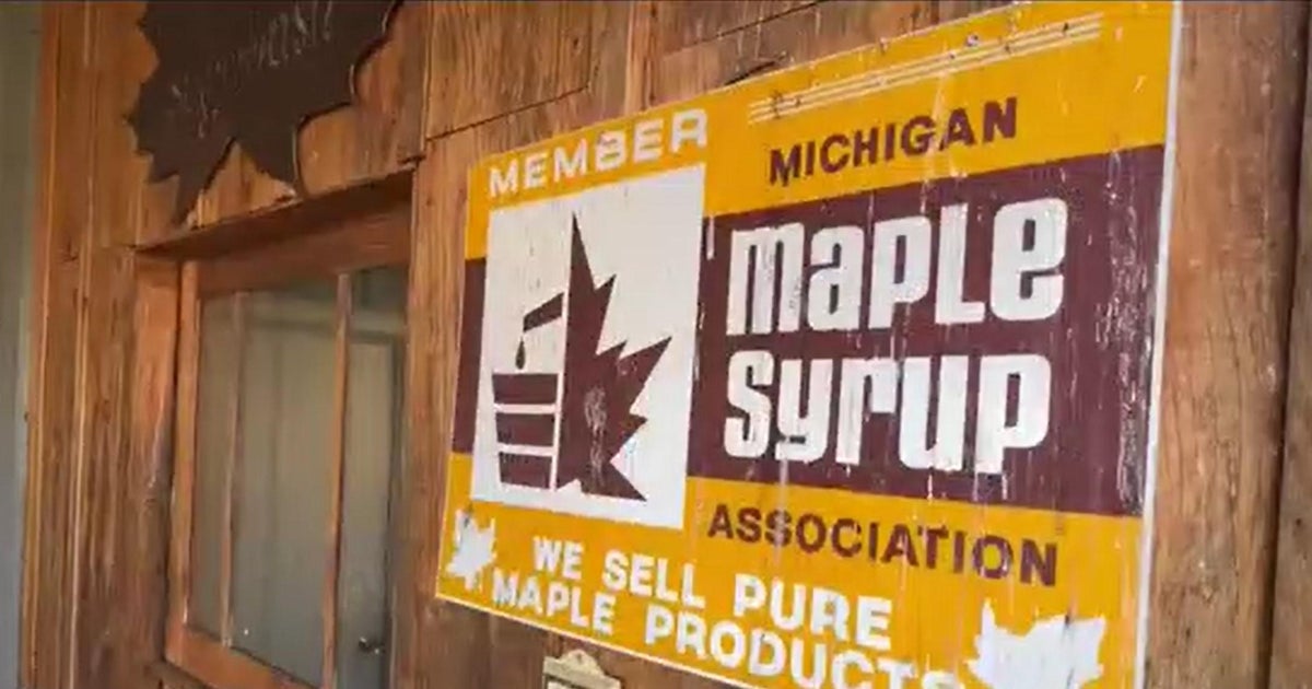 The impact of Michigan's warm winter on maple syrup production - CBS ...