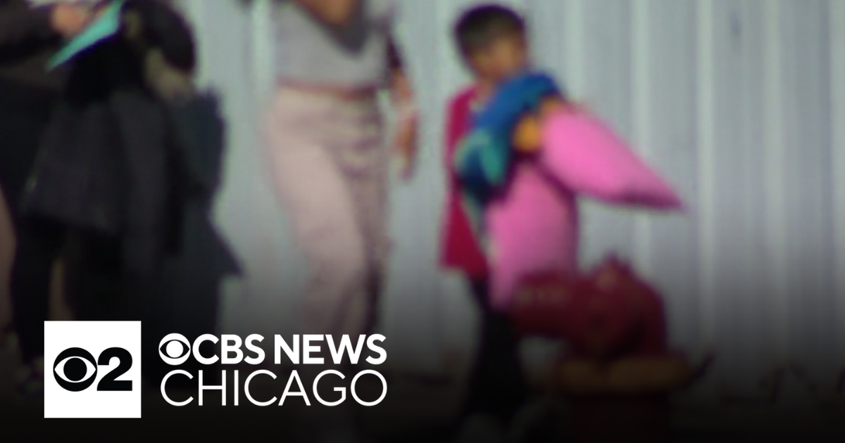 Chicago City Council members want more local organizations to manage ...