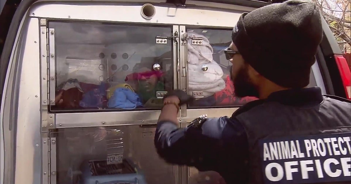 Denver Animal Protection honored for dedication, officers received ...