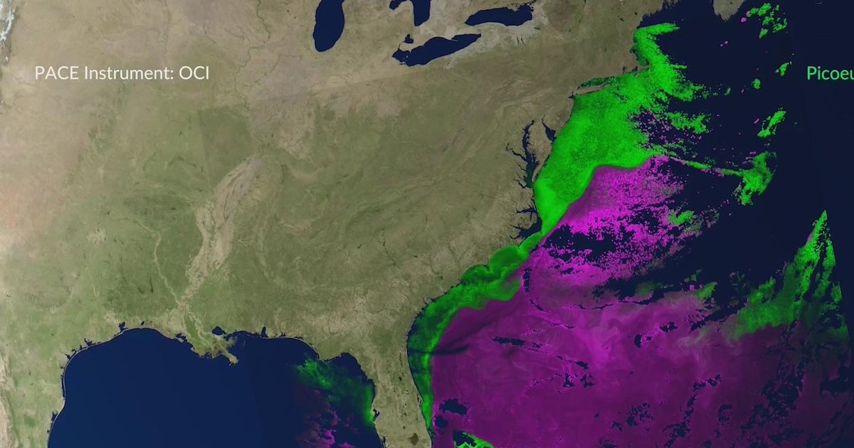 Learning about our planet and the oceans with NASA - CBS Detroit