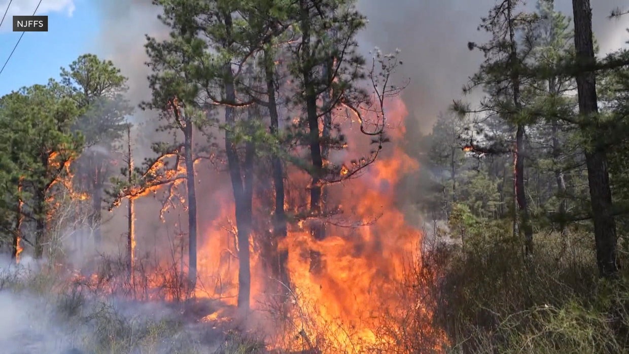 Wharton State Forest wildfire now 100% contained after growing to 510 ...