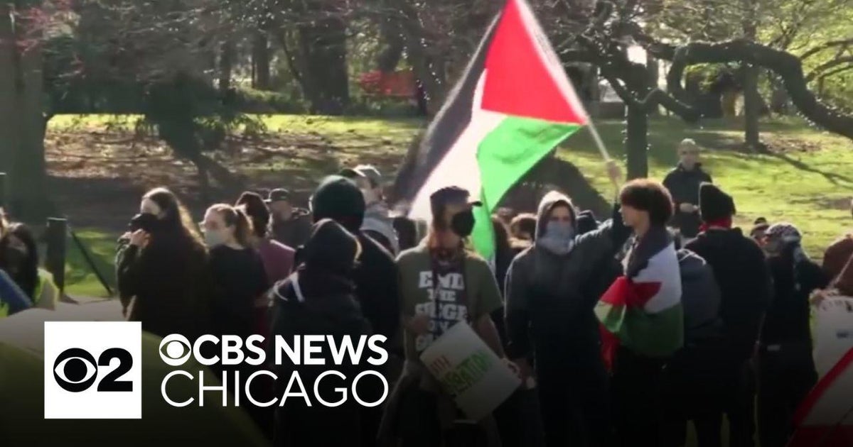 Northwestern students join nationwide campus protests in support of ...