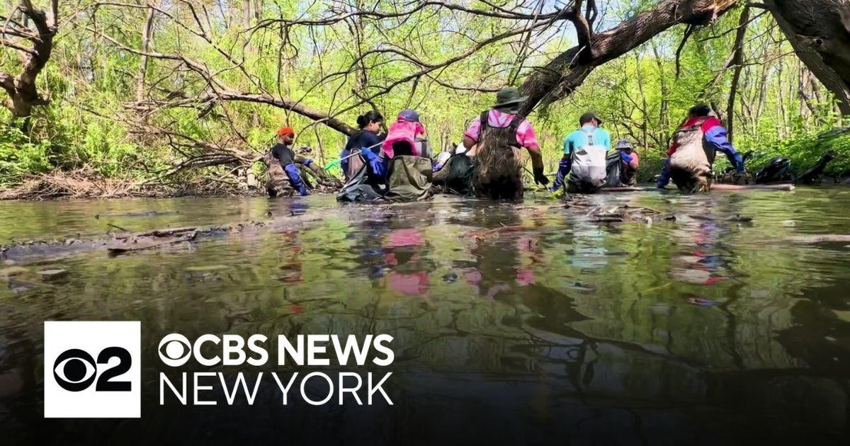 Here's what volunteers found while cleaning up the Bronx River - CBS ...