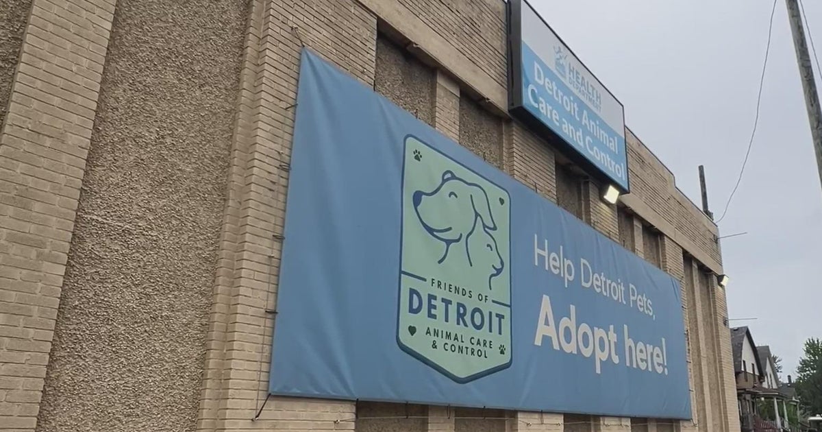 Adoptions underway at Detroit Animal Care and Control ahead of move to ...