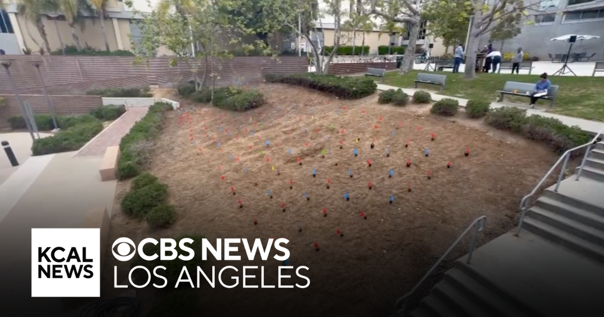 Santa Monica College Unveils Microforest On Campus Cbs Los Angeles