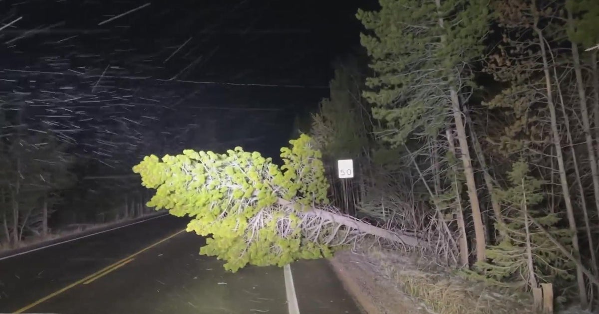 Powerful winds tear down trees and knock out power along the Front ...