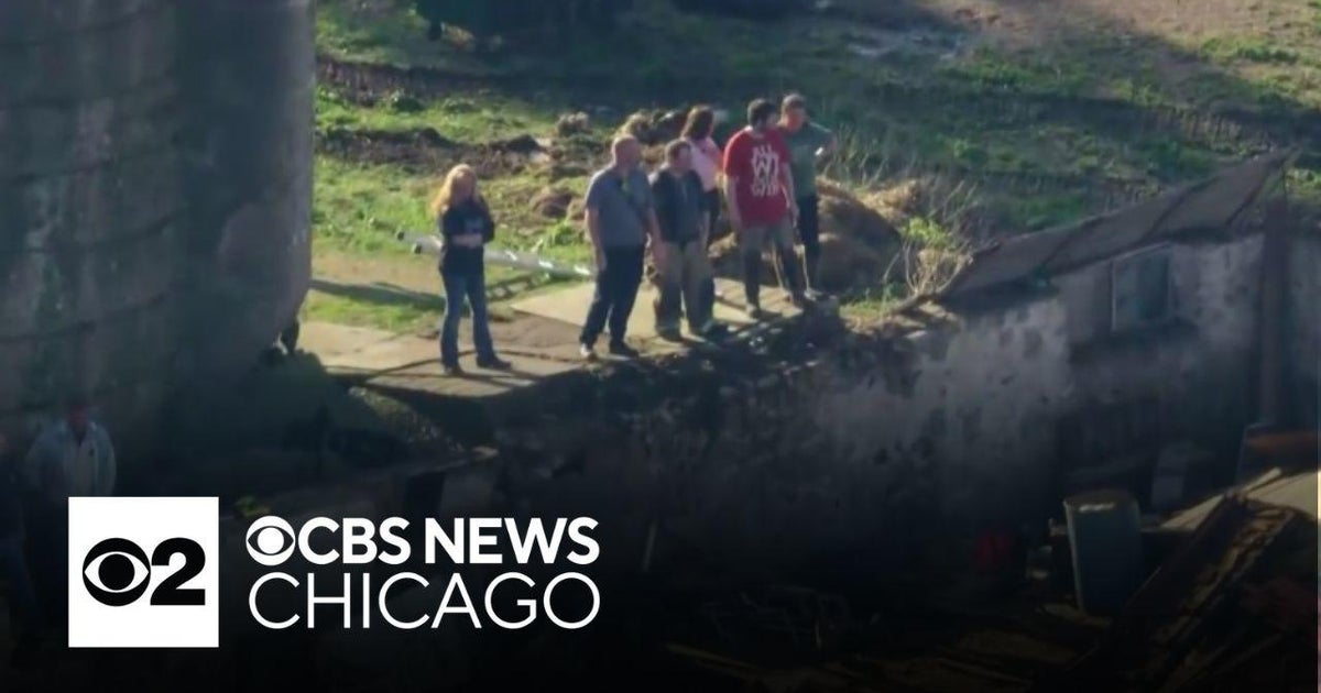 Barn collapses with animals inside in Northern Illinois - CBS Chicago