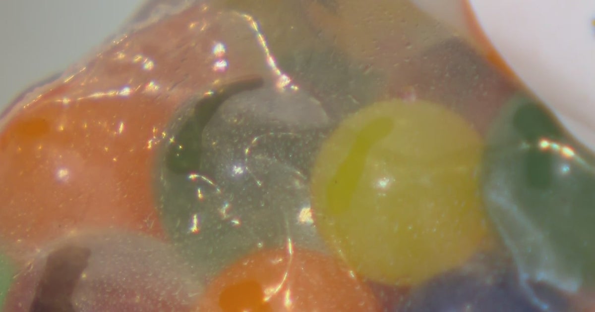 Casey to introduce legislation to ban water beads in Pennsylvania - CBS ...