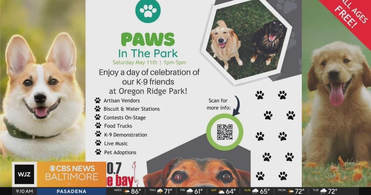 Meet some adoptable dogs at Paws in the Park this Saturday | Hangin ...